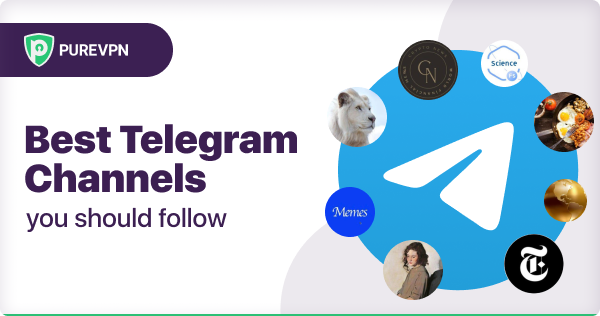 8 Best Telegram Channels You Should Follow - PureVPN Blog