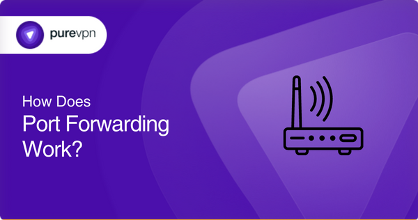 How Does Port Forwarding Work? - PureVPN Blog