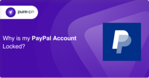 Why is My PayPal Account Locked? | Purevpn Paypal