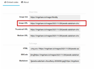 How to Find Someone's IP Address - PureVPN