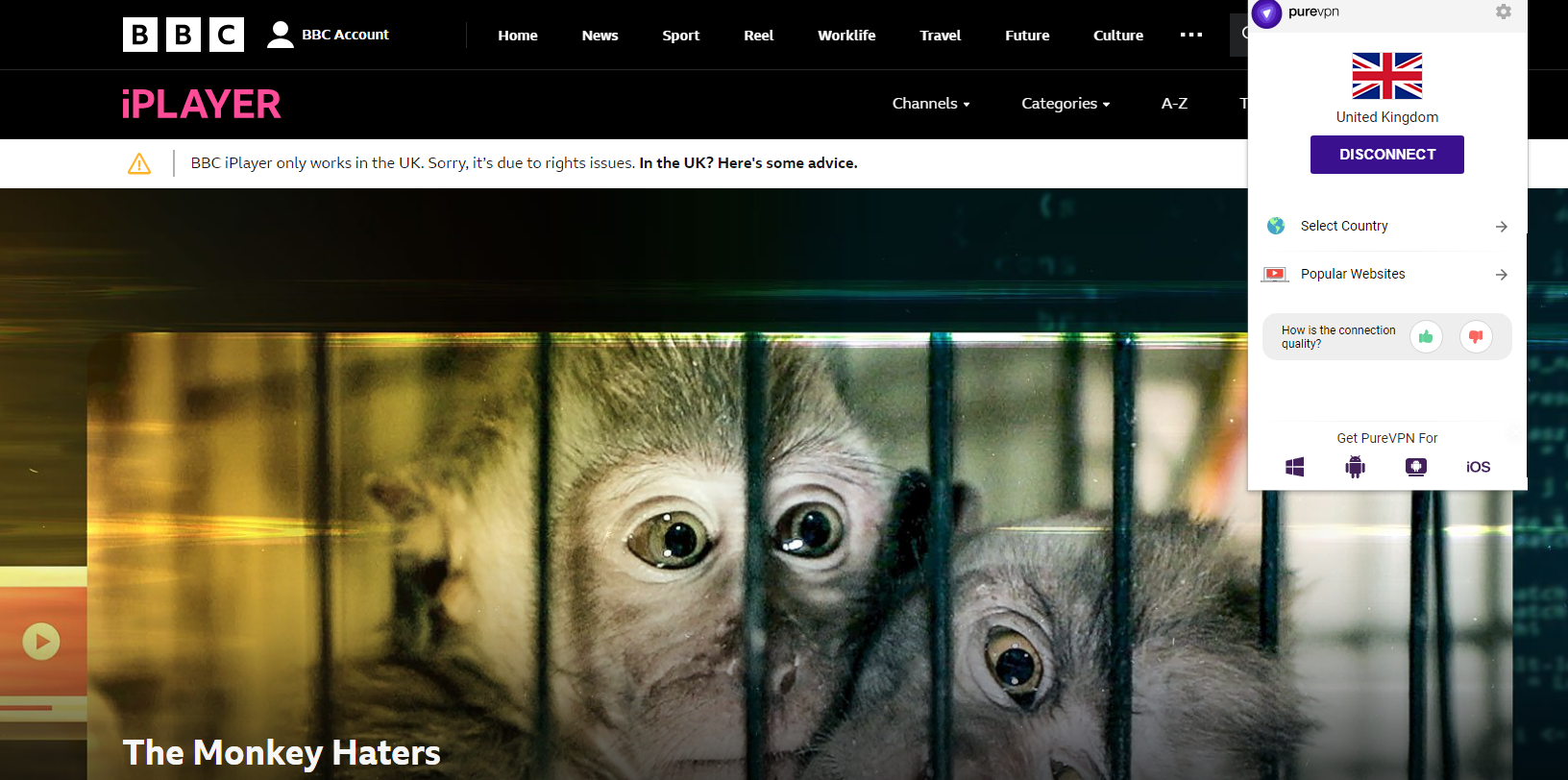 How to watch The Monkey Haters in the US - PureVPN Blog